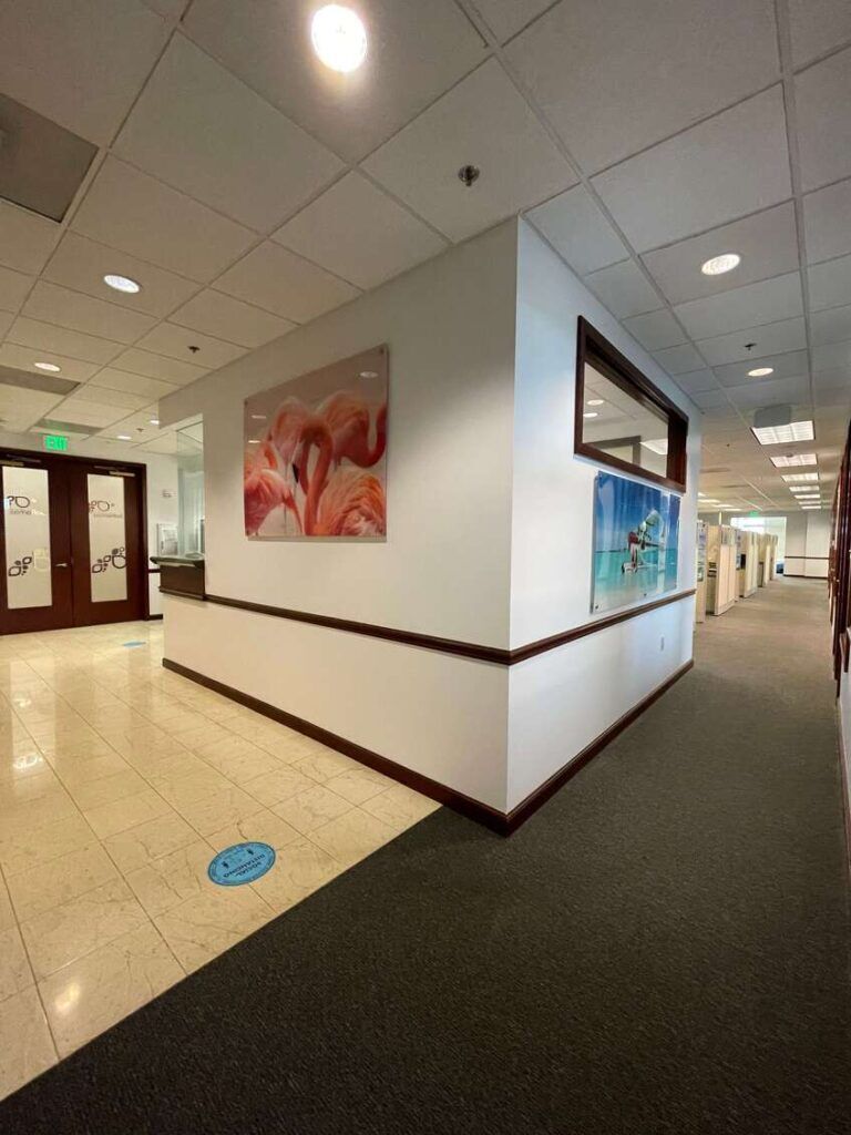 Elite Miami Commercial Construction Company| Retail & Office